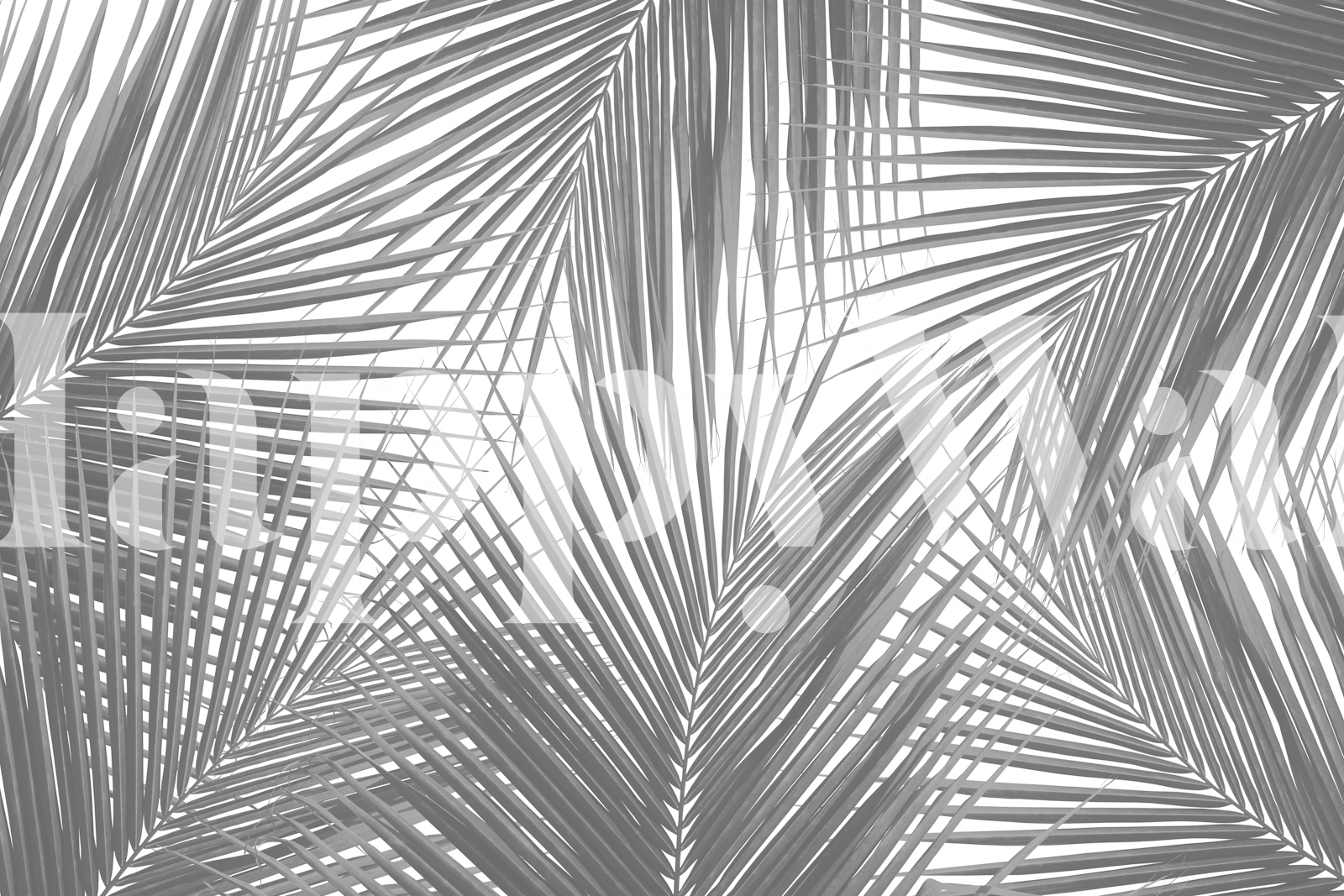 Gray Palm Leaves Finesse 1 - Happywall