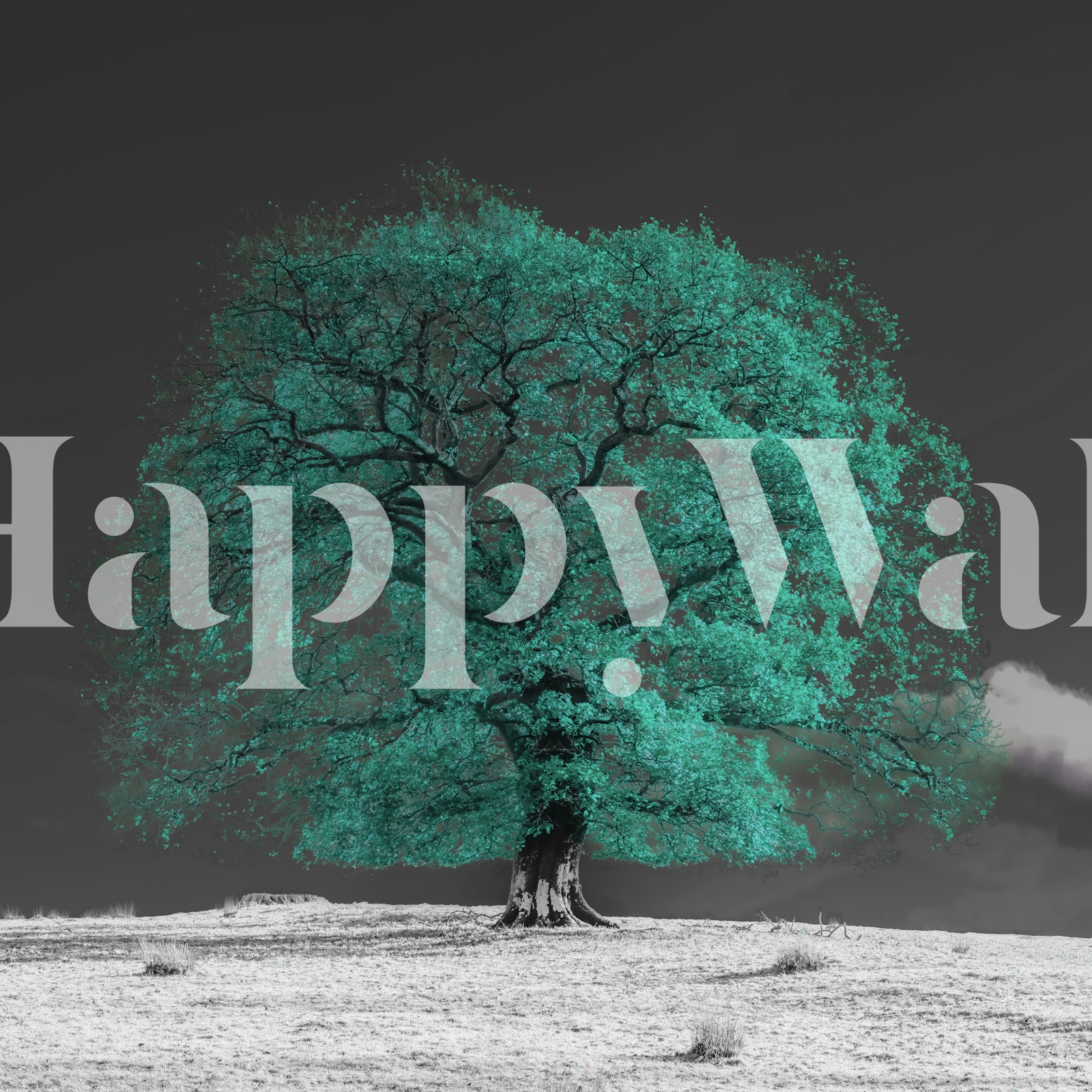 Teal Tree Nature Wallpaper for Modern Decor