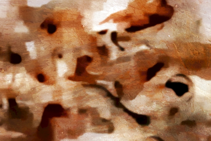Earthy Fall Feelings - Happywall