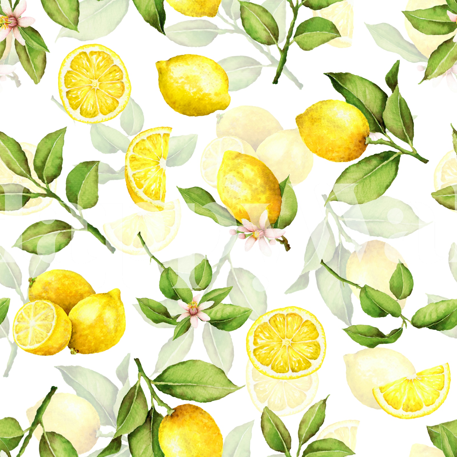 Summer Exotic Lemon Garden wallpaper | Happywall