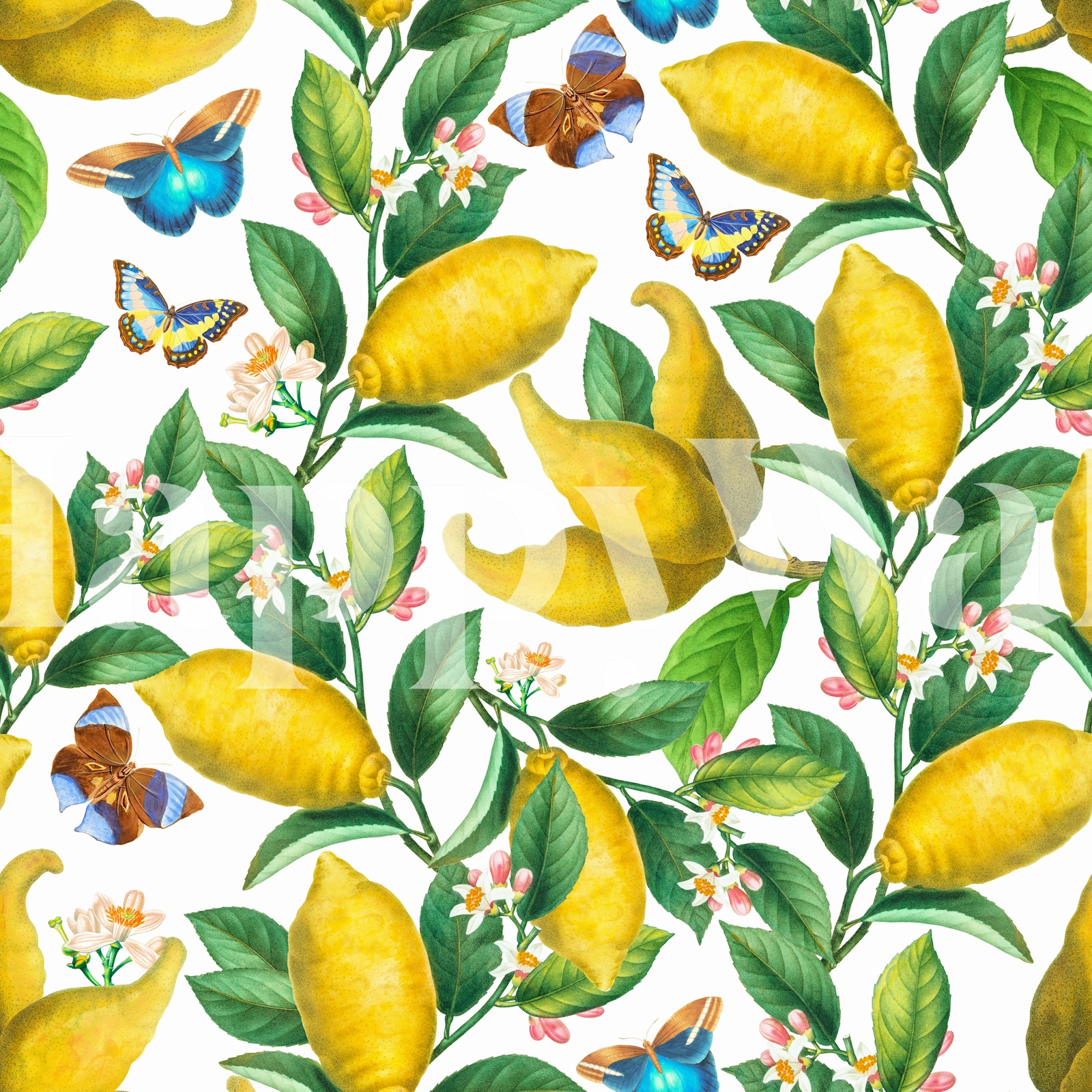 Vintage Exotic Lemon Summer Wallpaper | happywall.com