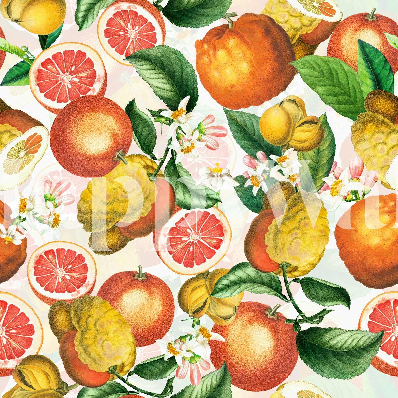 Tropical Colorful Citrus Wallpaper - Happywall