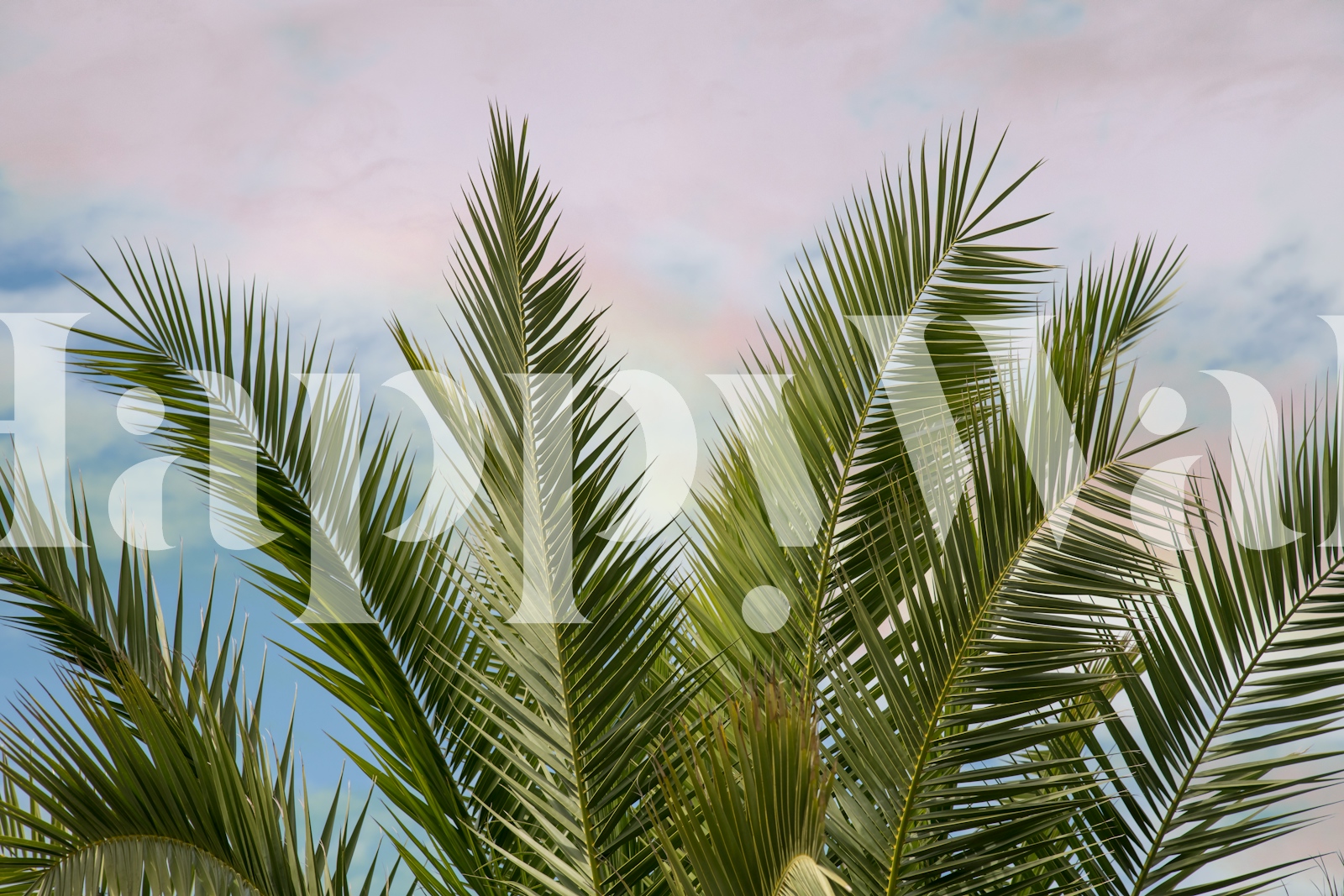 Dreamy Caribbean Palms Wallpaper | happywall.com