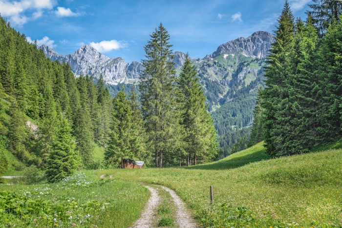 Green Alpine Landscape Wallpaper