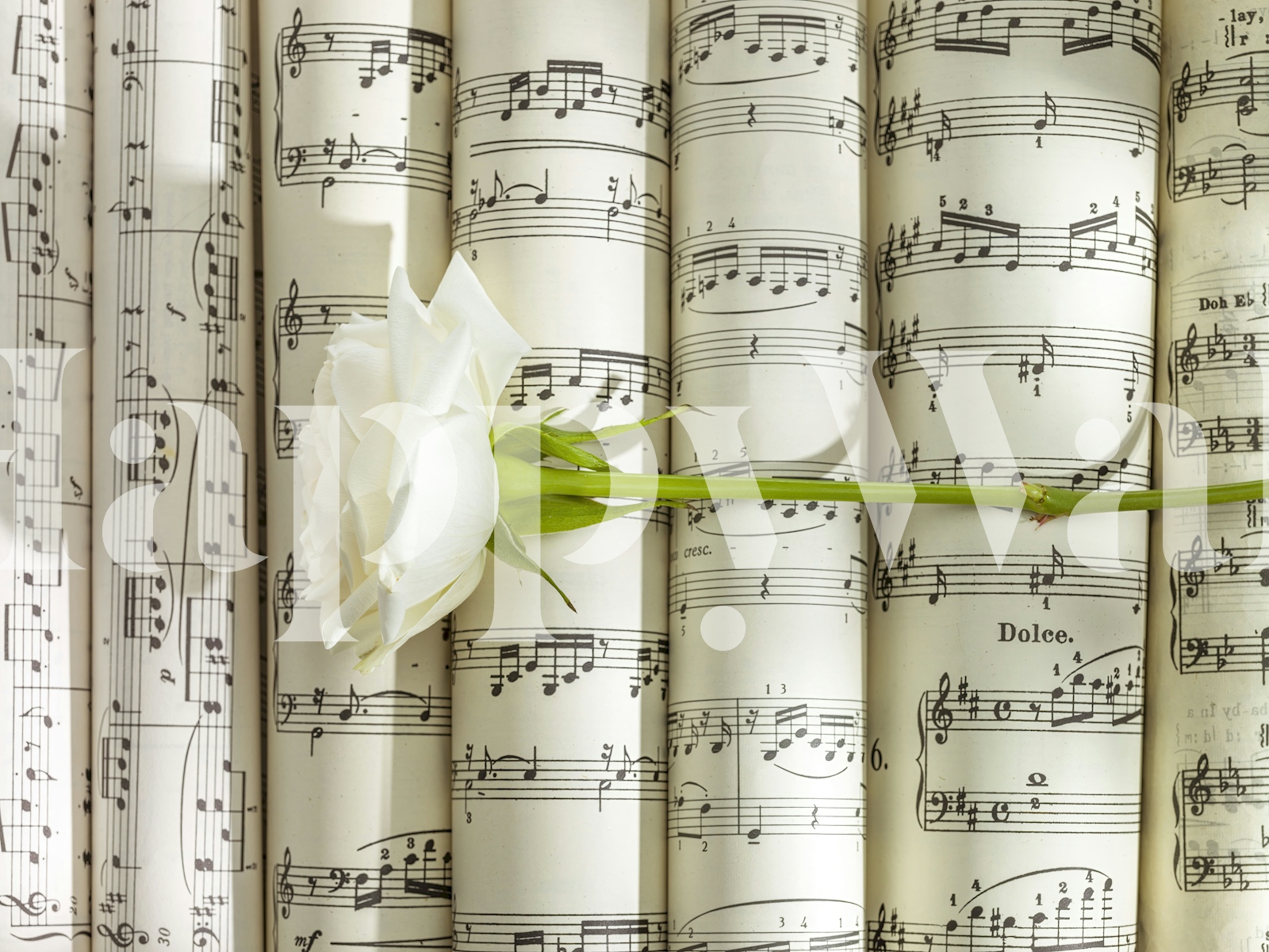 Harmonious Melody Wallpaper - happywall.com