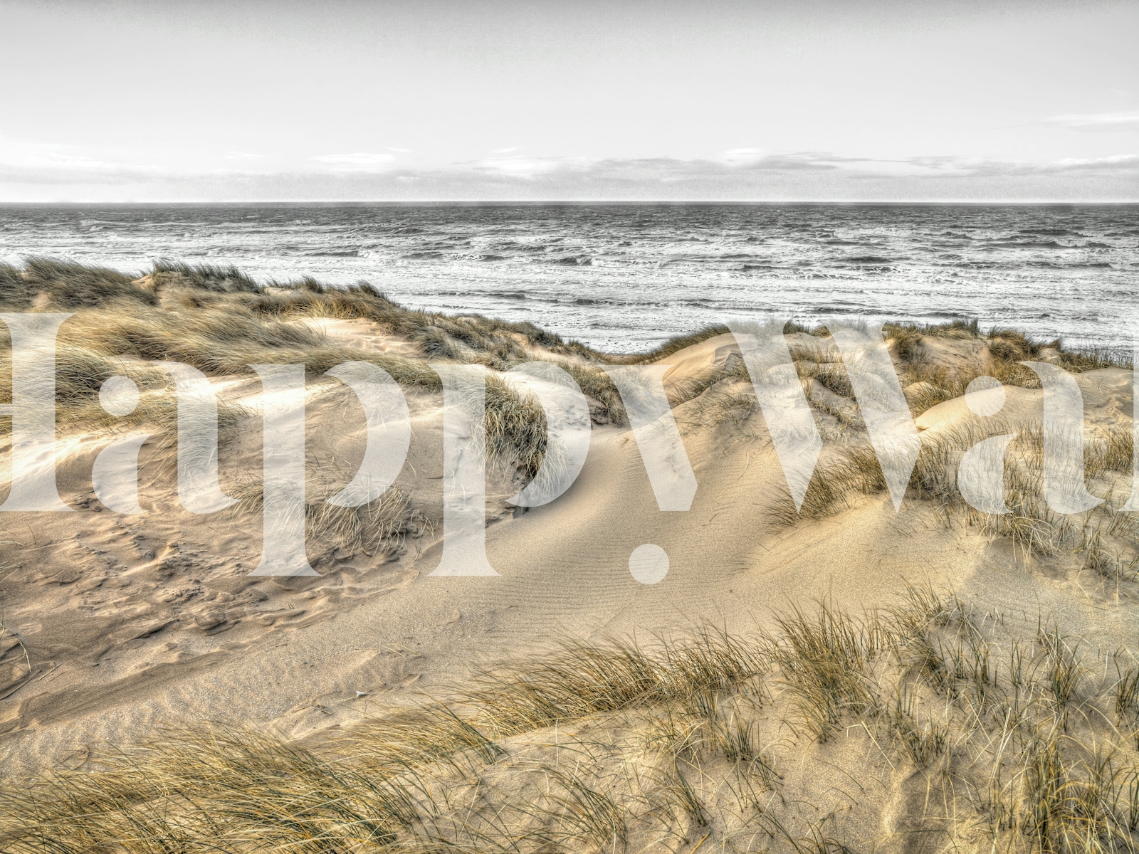 Soothing Seaside Wallpaper | happywall.com