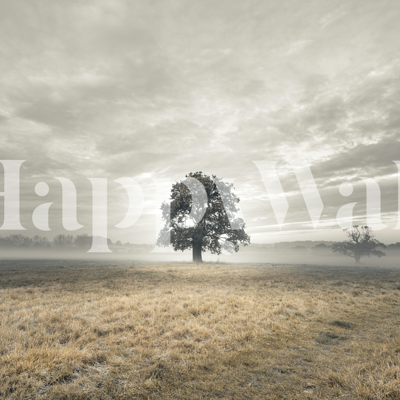 Dawn Awakening Wallpaper - happywall.com