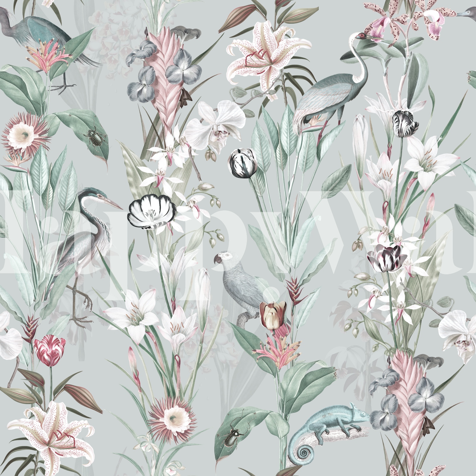 Floral Tropical Wallpaper with Birds and Flowers