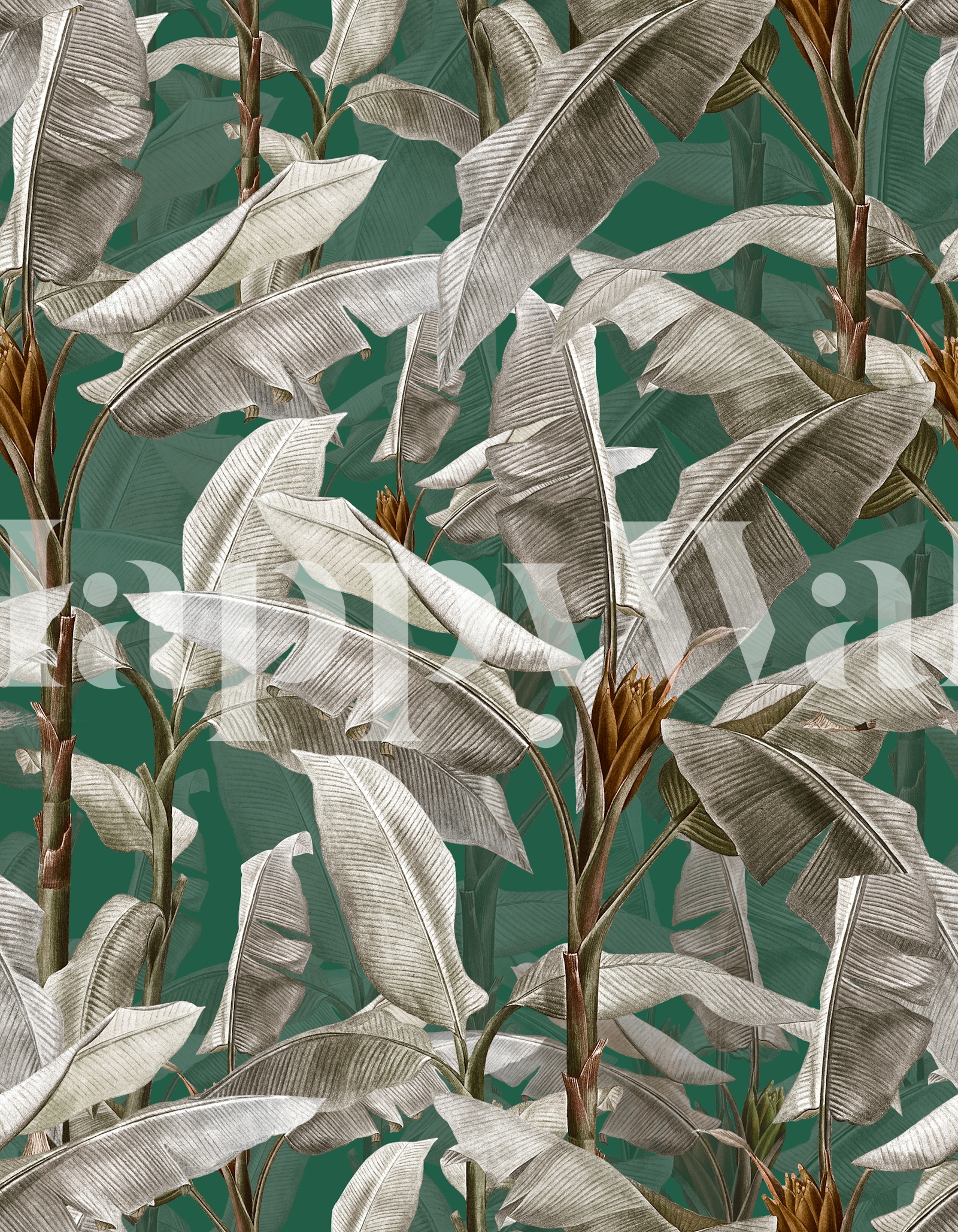 Vintage Tropical Banana Forest Wallpaper | happywall.com