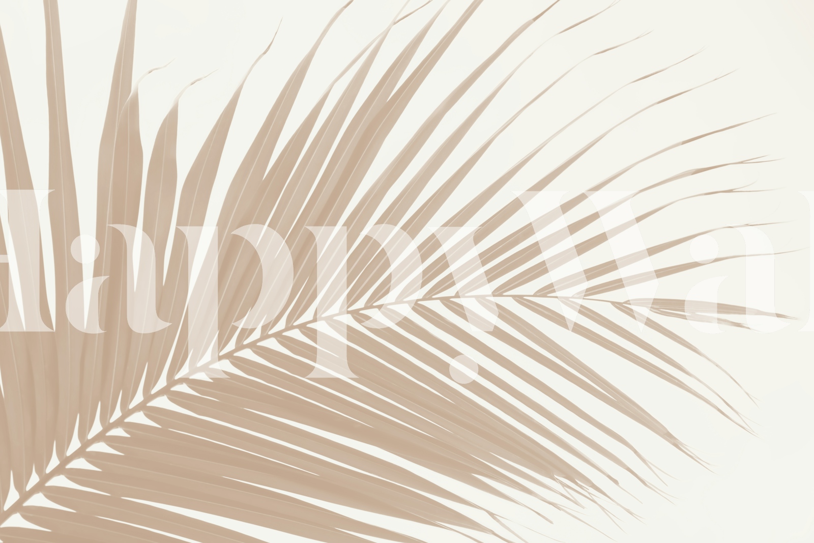 Lush Caribbean Palm in Warm Beige 1 wallpaper | Happywall