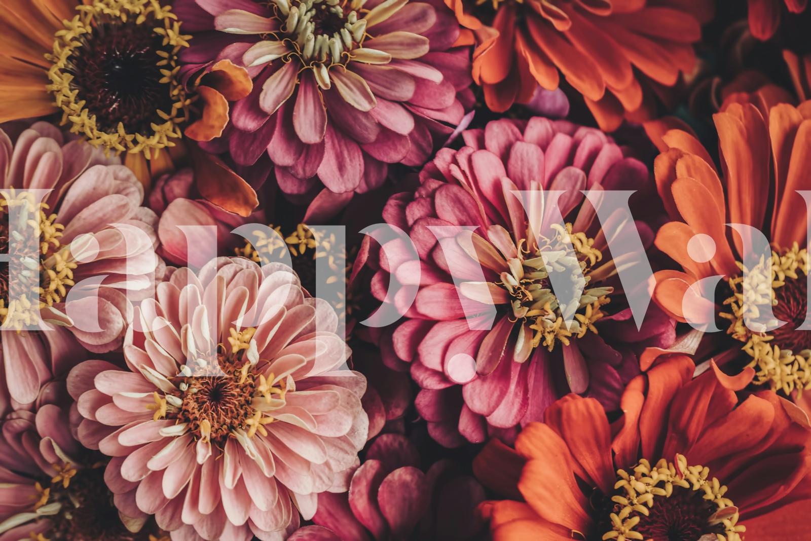 Flowers Colourful Bouquet | happywall.com