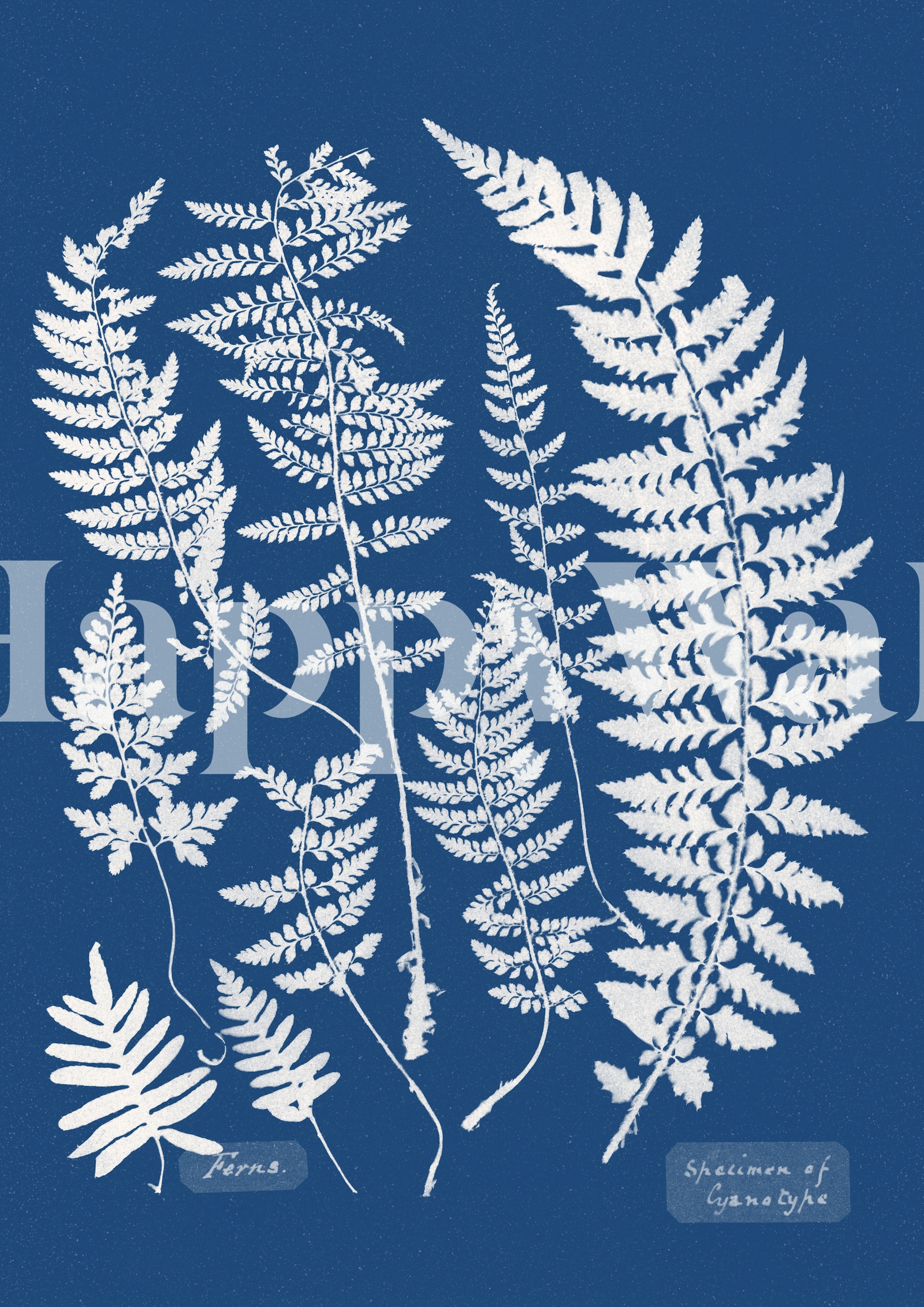 Navy Blue Fern Botanical Wallpaper