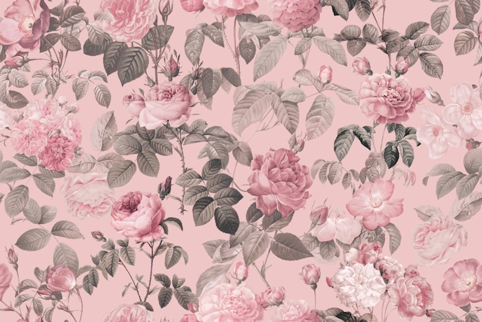Vintage French Roses Wallpaper | Happywall