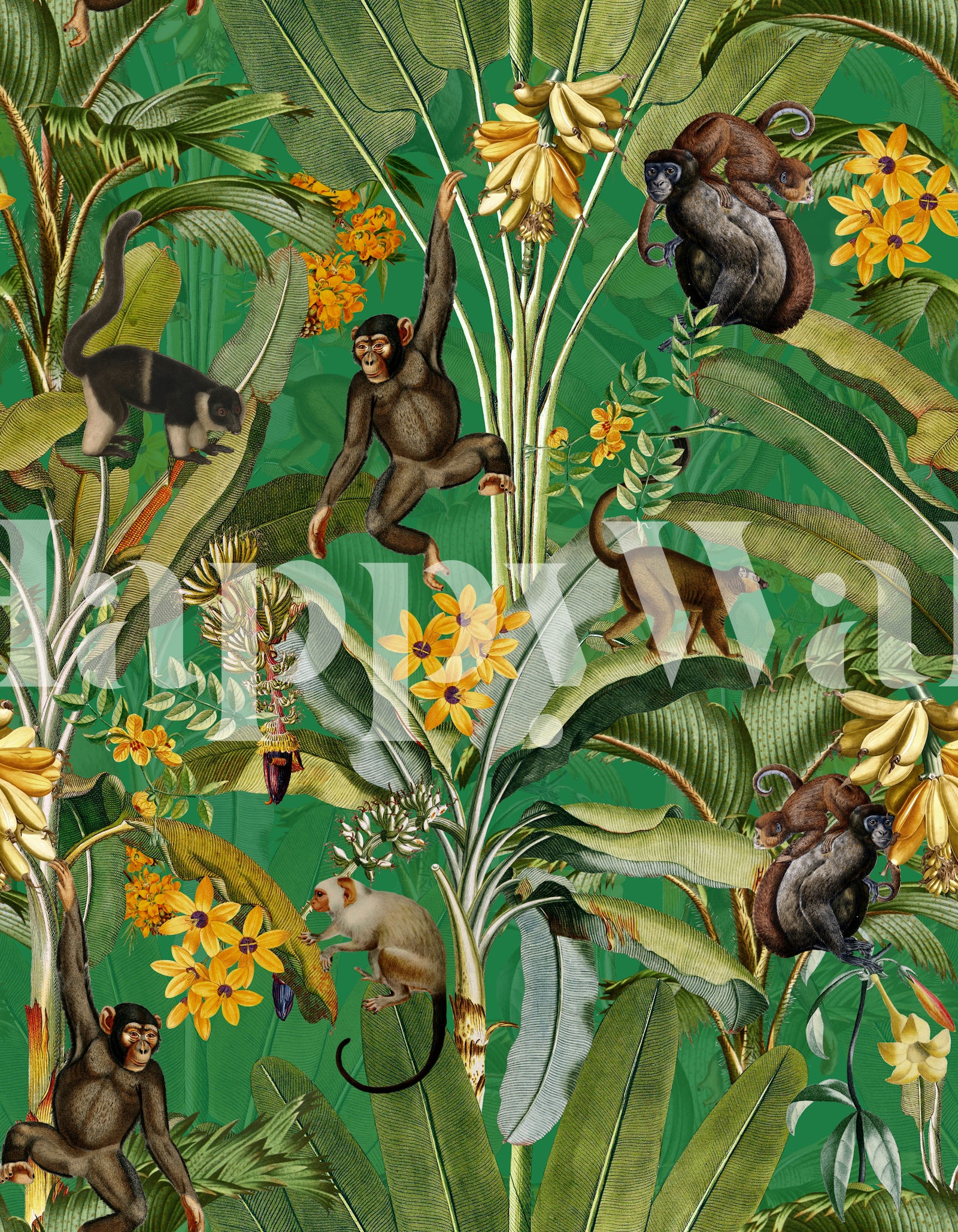 Green Tropical Monkey Wallpaper for Kids
