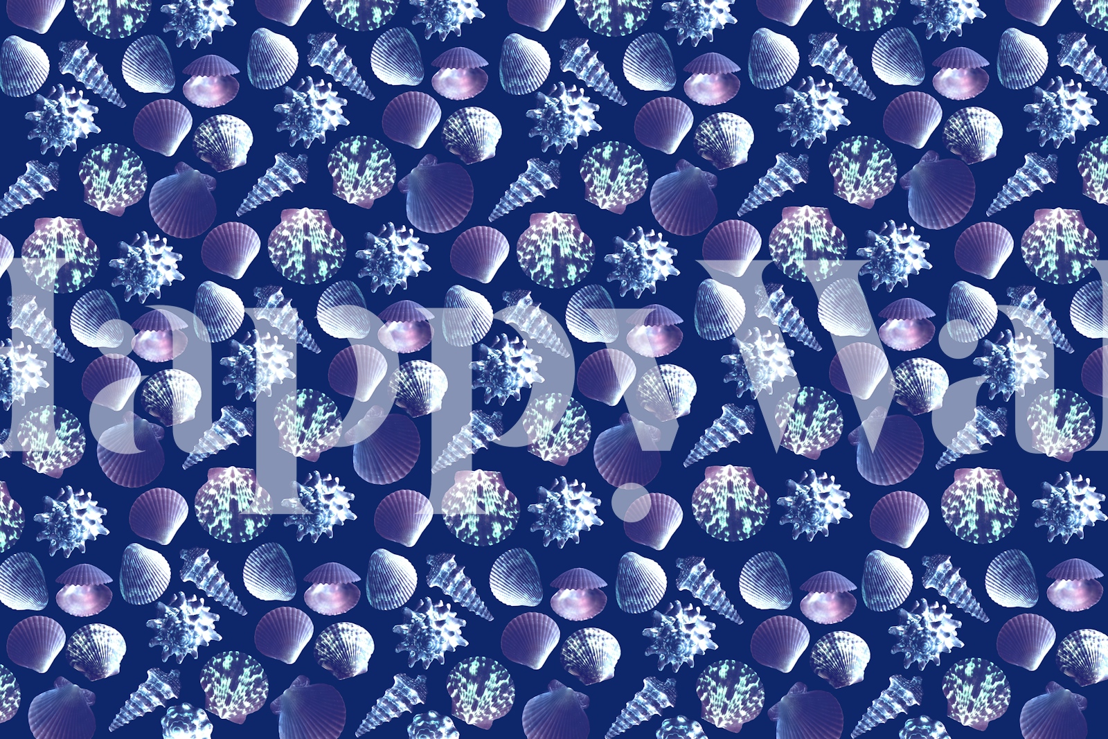 Underwater Seashell Dream - Happywall