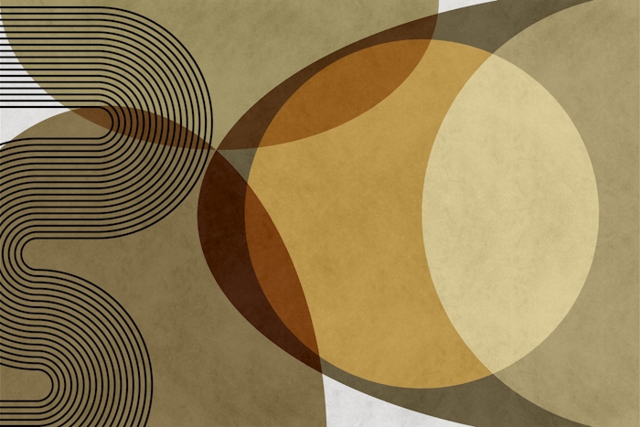 Mid Century Modern Organic Geo Wallpaper