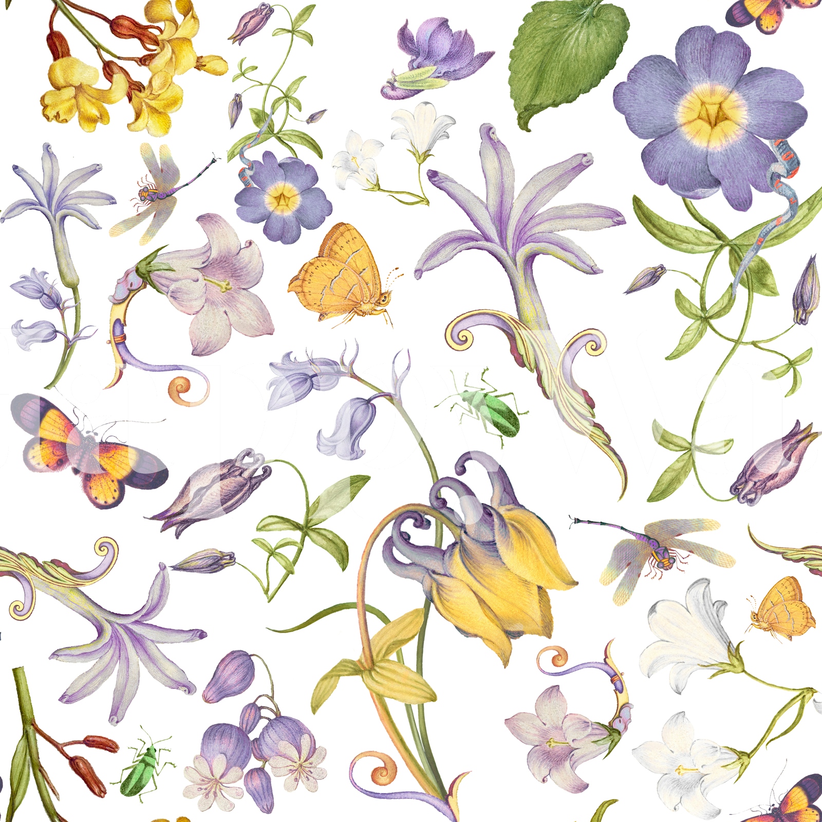 Botanical Floral Wallpaper for a Vibrant Room