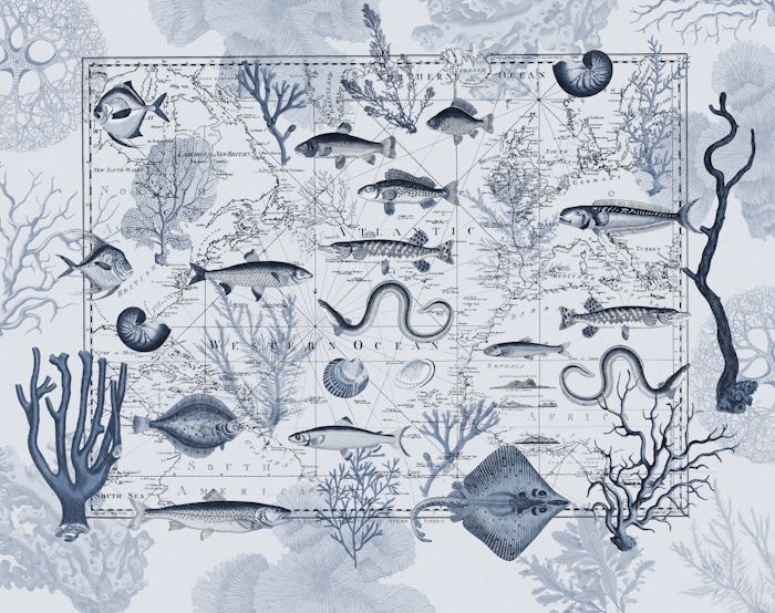 Vintage Map Maritime Ocean Adventure Wallpaper