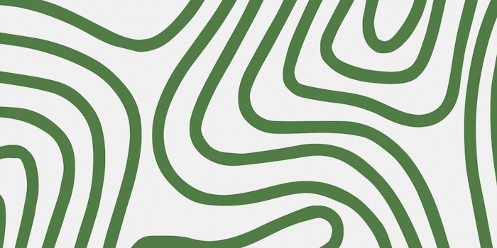 Green Maps Wallpaper - Happywall.com