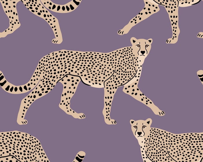 Walking Cheetah on Chinese Violet Wallpaper