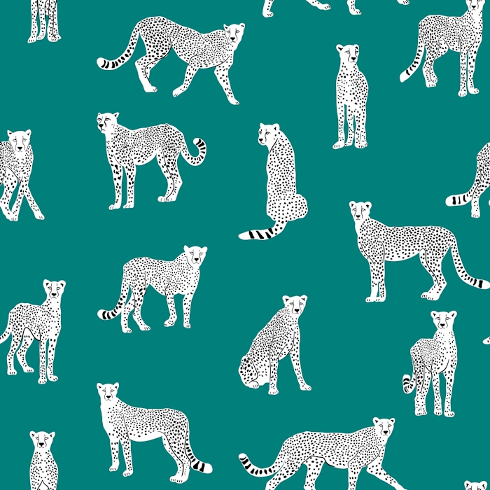 White Cheetah on Teal Blue - Wallpaper
