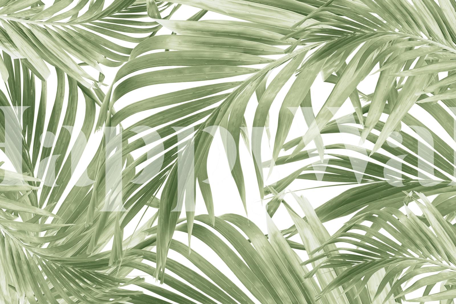 Lush Caribbean Palm Collage 1 - happywall.com