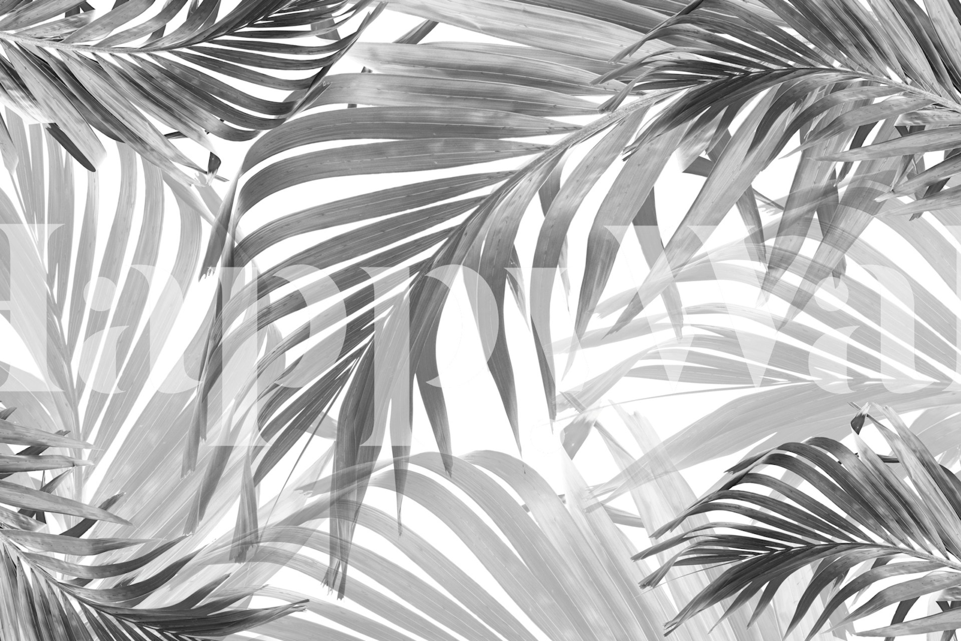 Lush Caribbean Palm Collage 2 Wallpaper