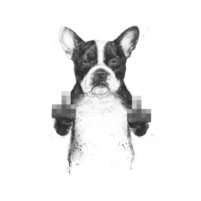 Censored Dog Artwork Wallpaper