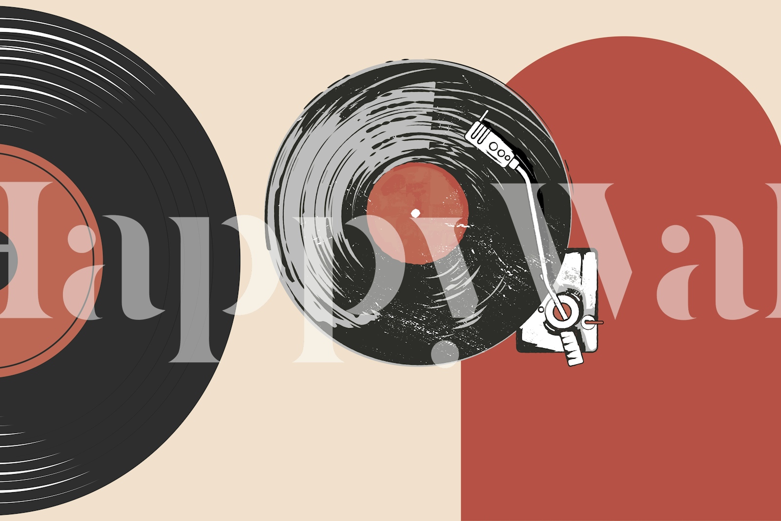 Retro Vinyl Groove Wallpaper - Happywall