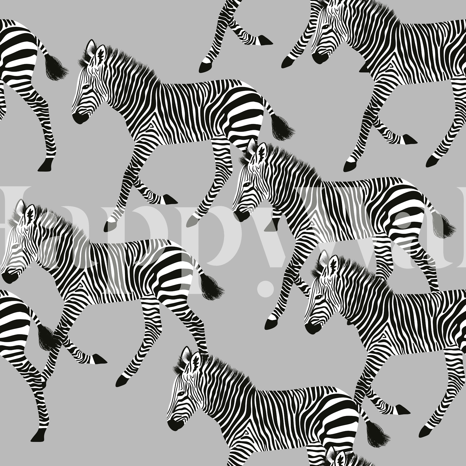 Zebra Walk 4 Wallpaper - happywall.com