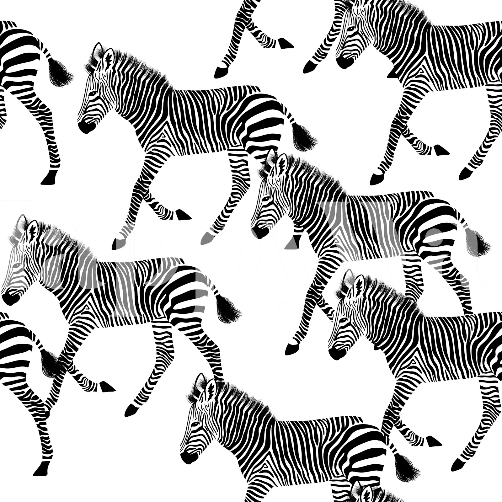 Zebra Walk 7 Black and White | Happywall.com