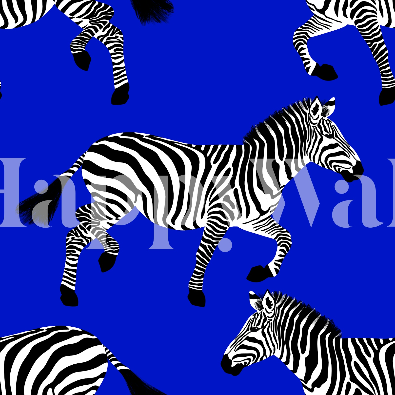 Zebra Wallpaper 10 Electric Blue | happywall.com