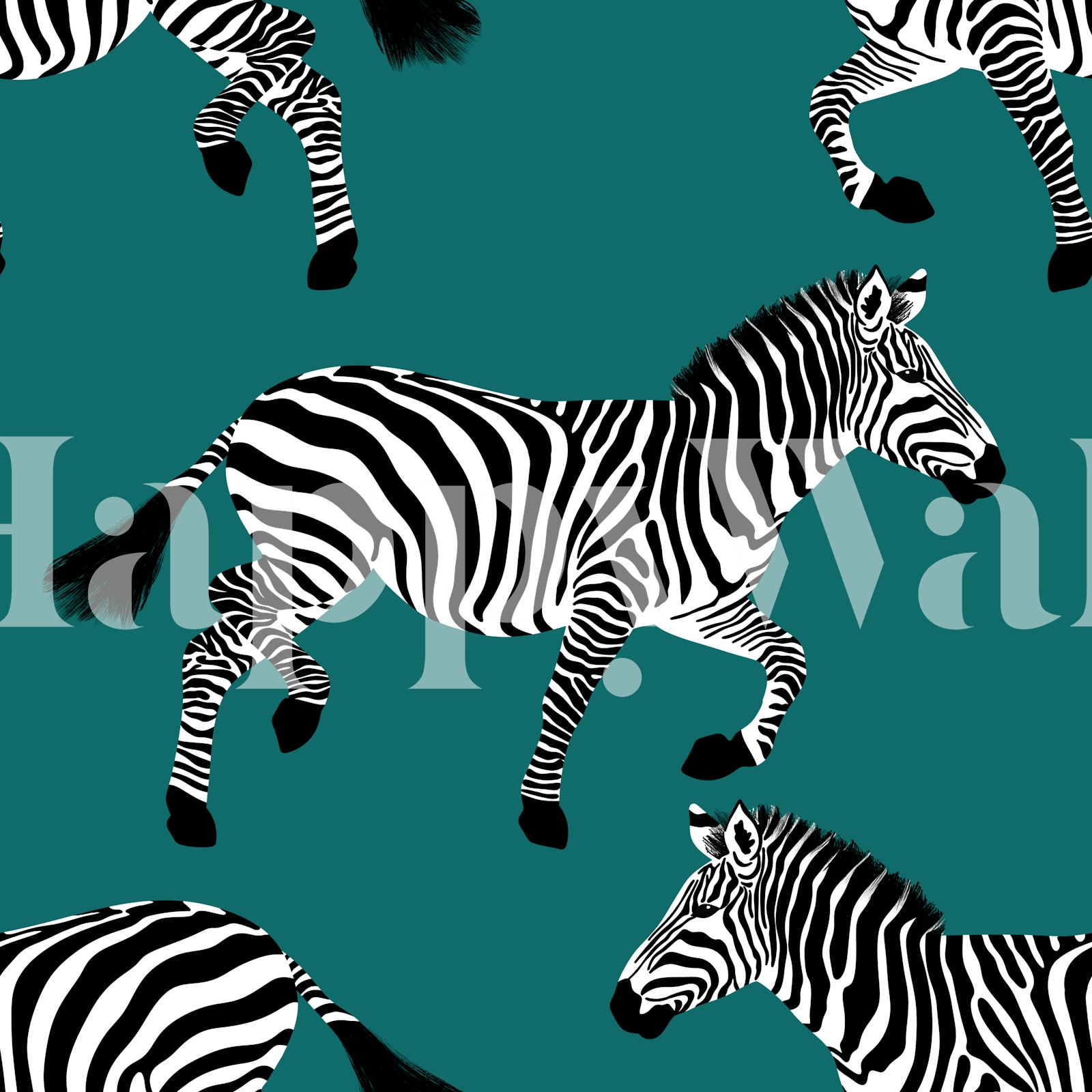 Teal Zebra Wallpaper for Kids Rooms
