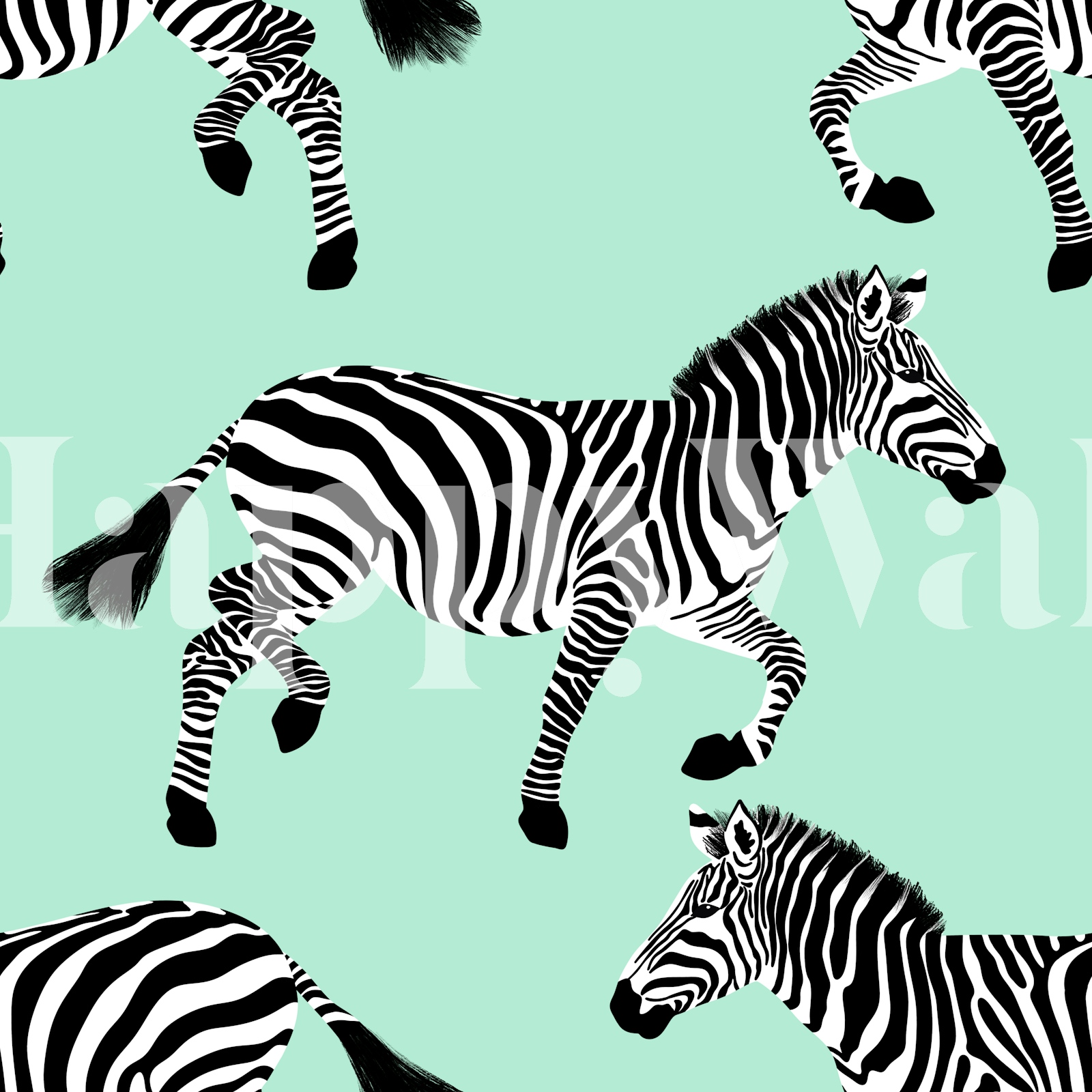 Mint Zebra Wallpaper for Kids Room