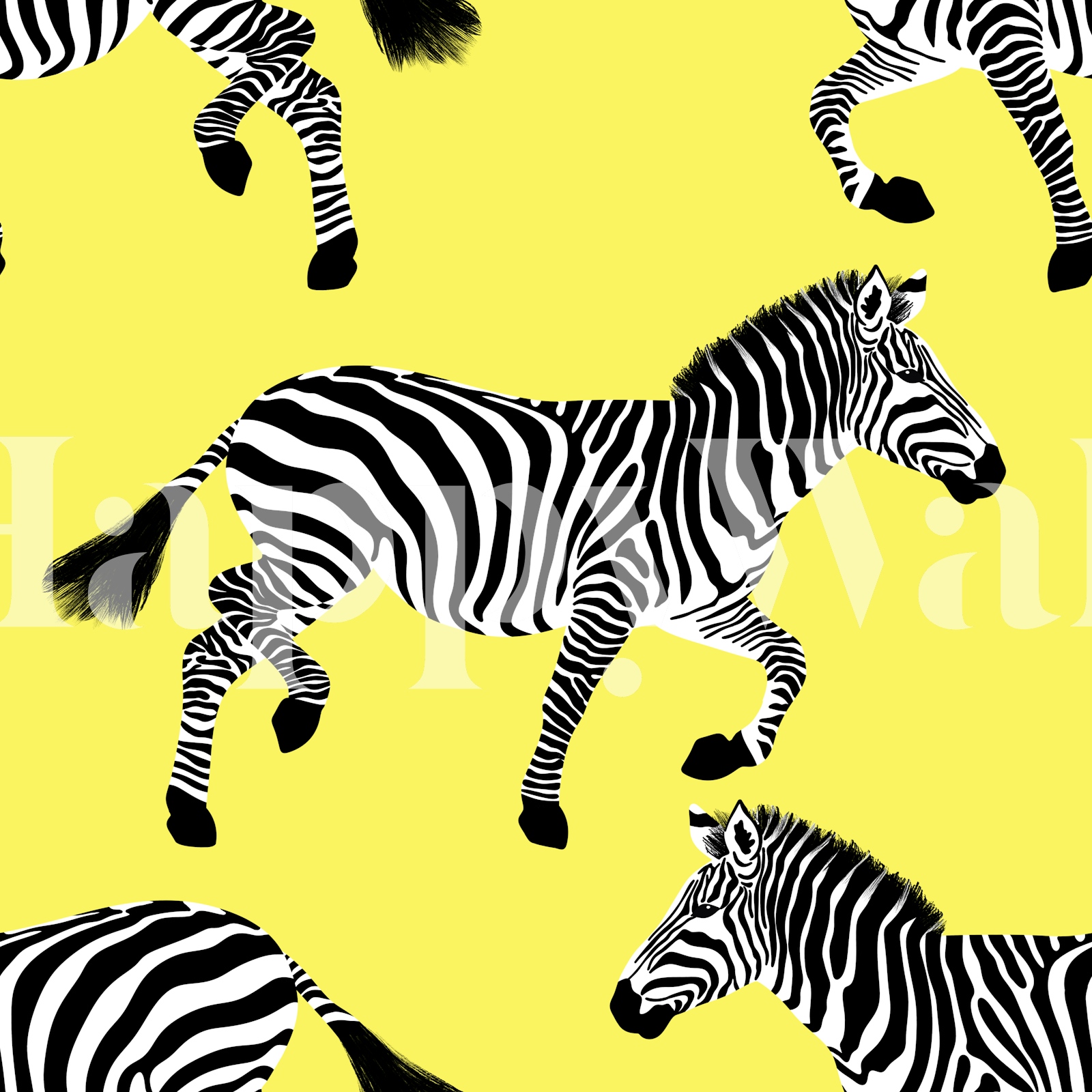 Zebra Wallpaper 16 Yellow | Happywall