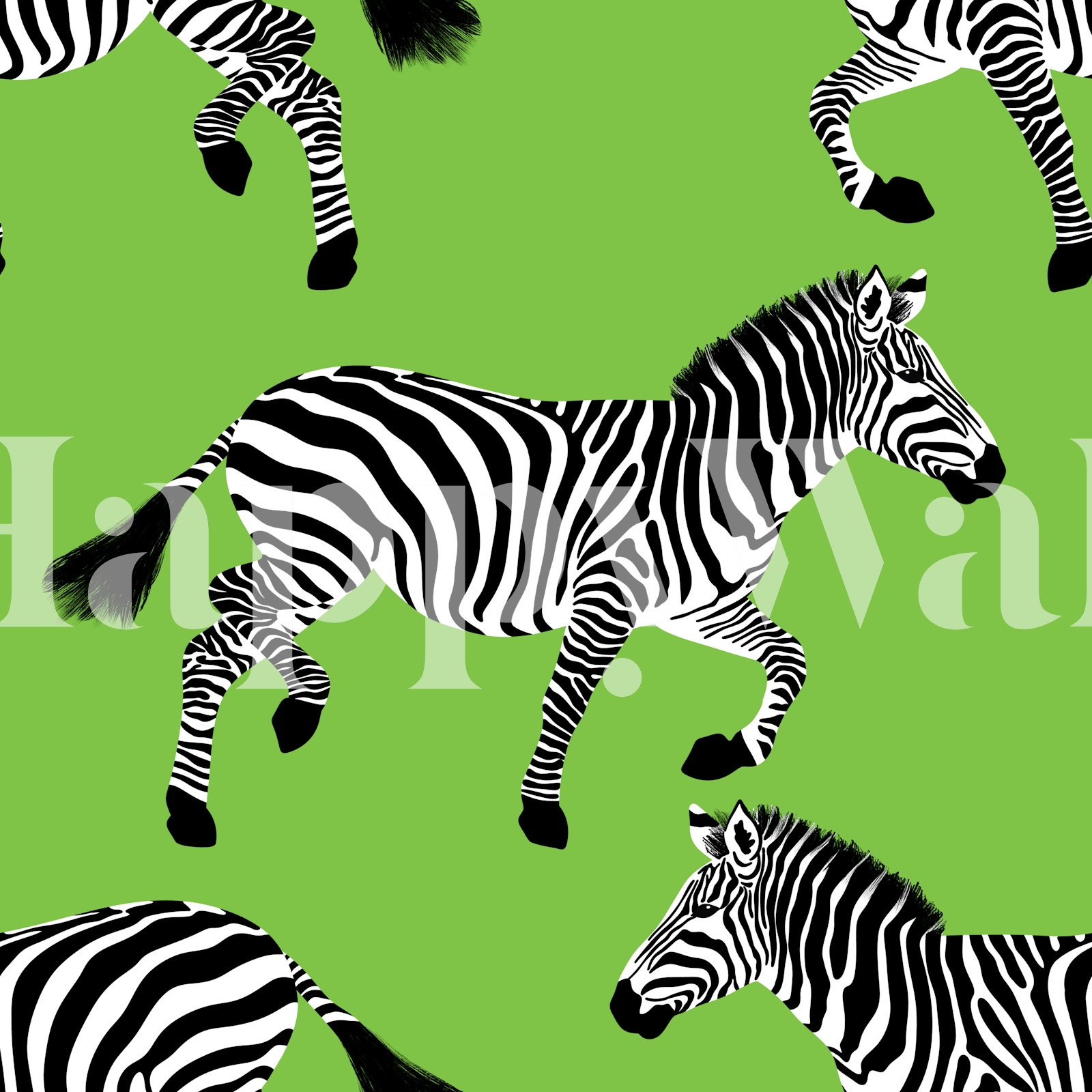 Zebra wallpaper 17 Bud Green - happywall.com