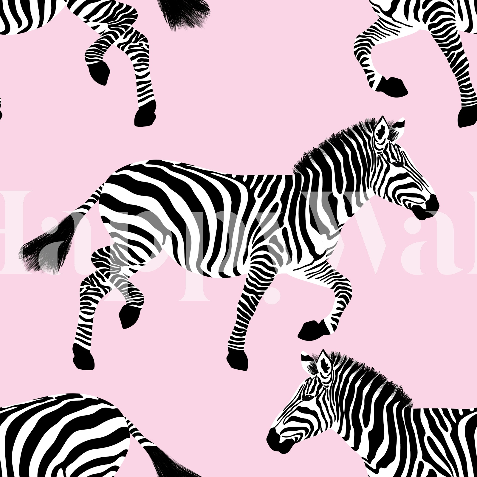 Zebra Wallpaper 21 Pink | happywall.com