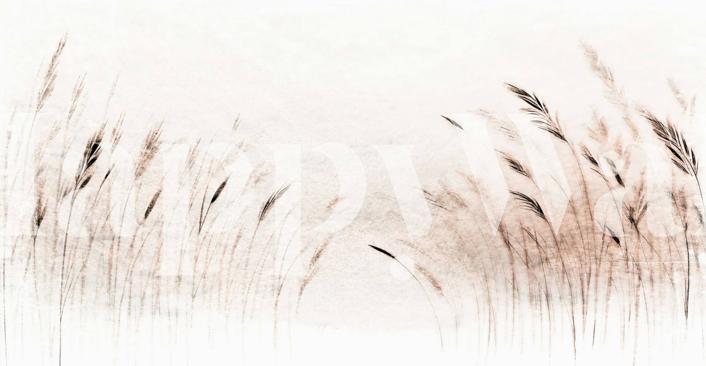 Golden Reed Breeze Wallpaper | happywall.com