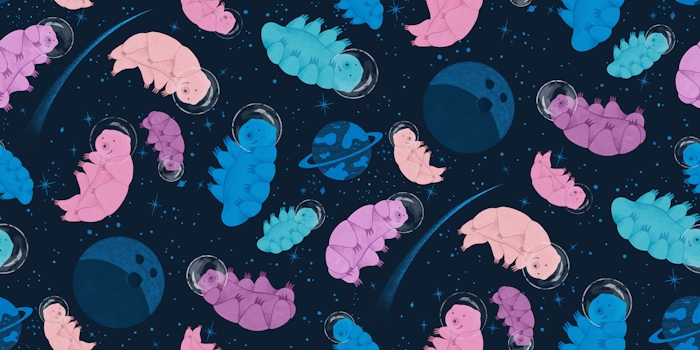 Colorful Tardigrade Space Wallpaper