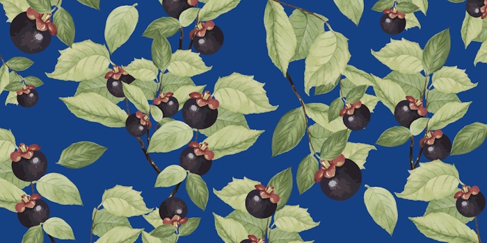 Fruit Blue Wallpaper - Happywall