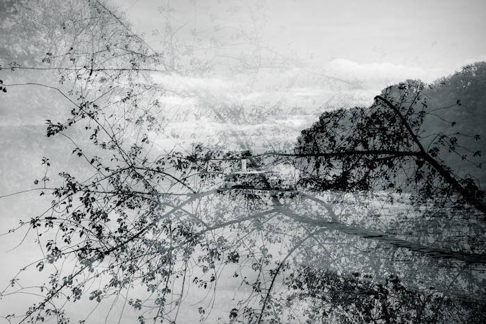 Song by the River - Happywall.com