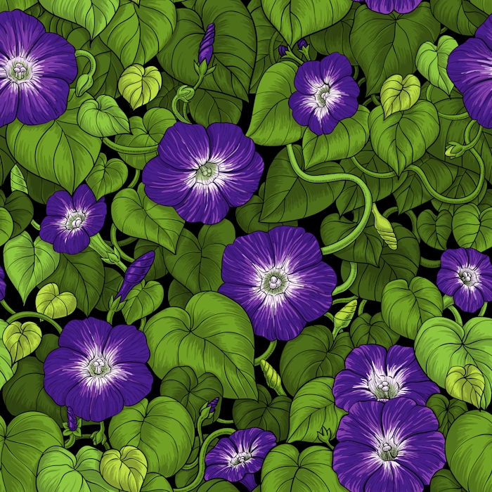 Morning Glory Wallpaper | Happywall.com