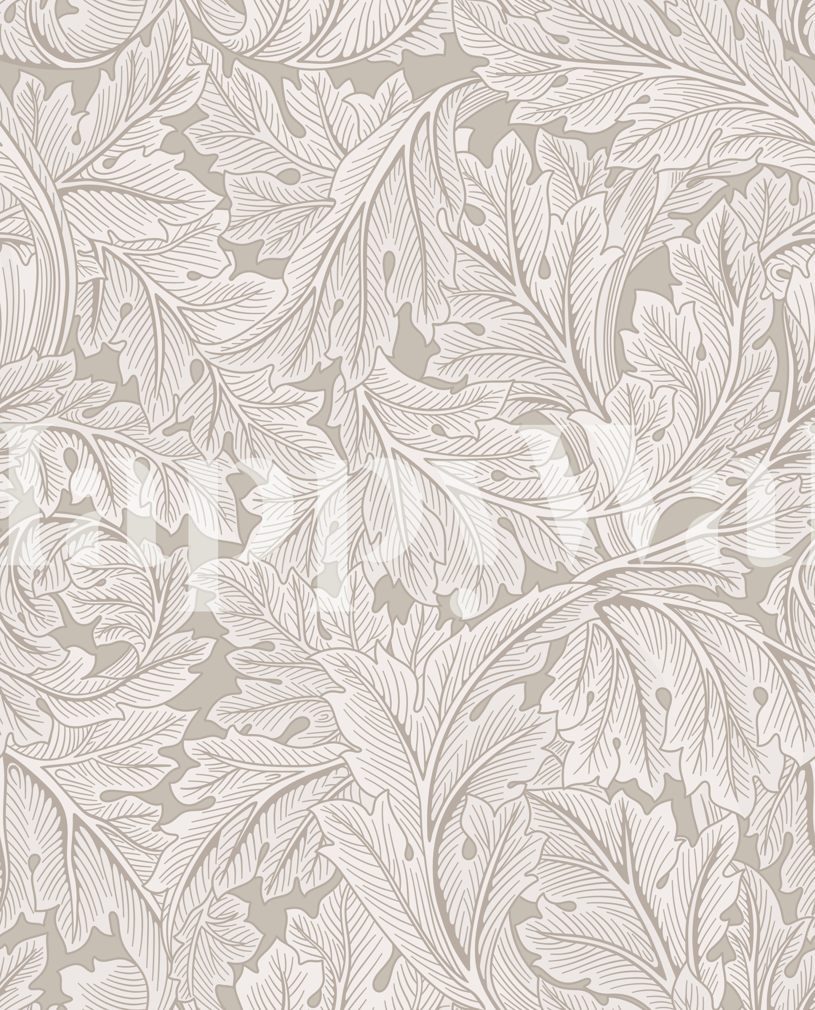 Victorian Acanthus Design 10 - Happywall