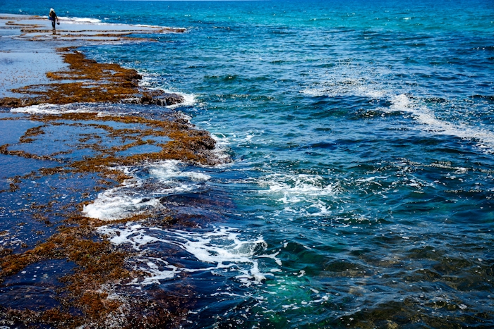 Sdot Yam beach #5 Wallpaper | happywall.com