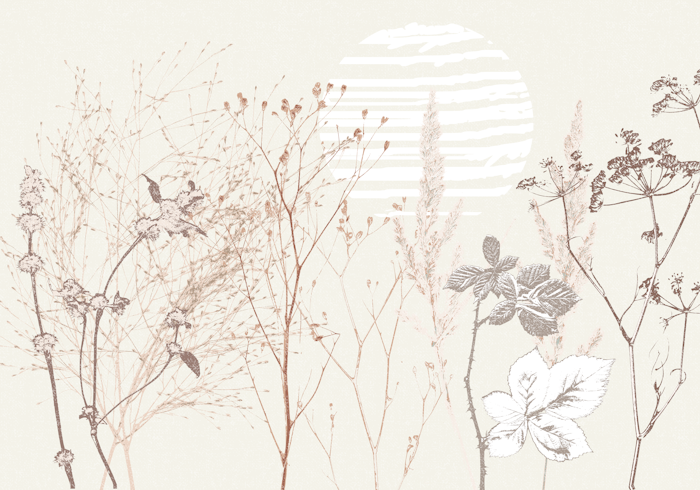 Plant Based Calming Wallpaper - Happywall.com