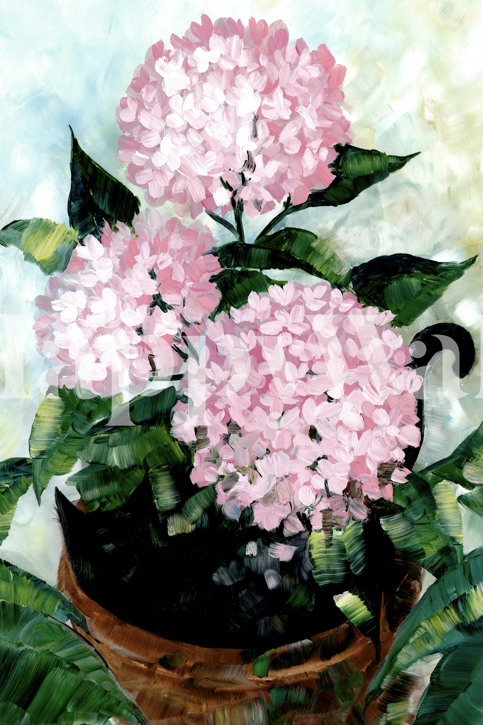 Potted Pink Hydrangeas - Happywall