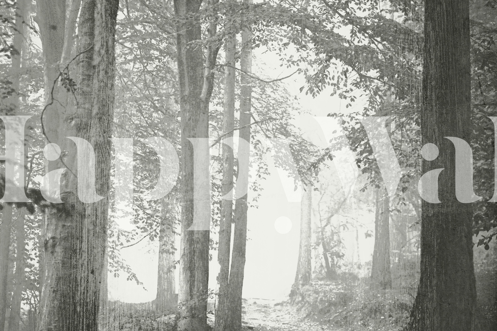 Enchanted Woodland Mist Wallpaper