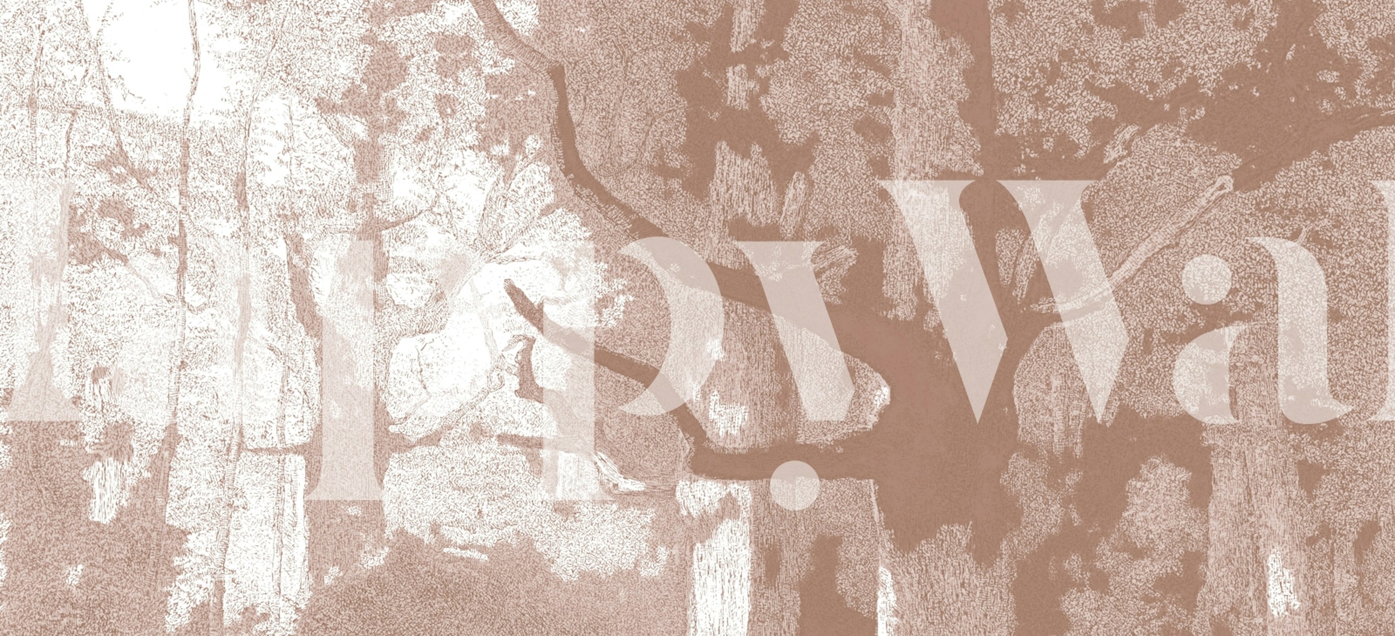 Enchanted Forest Canopy Wallpaper | happywall.com