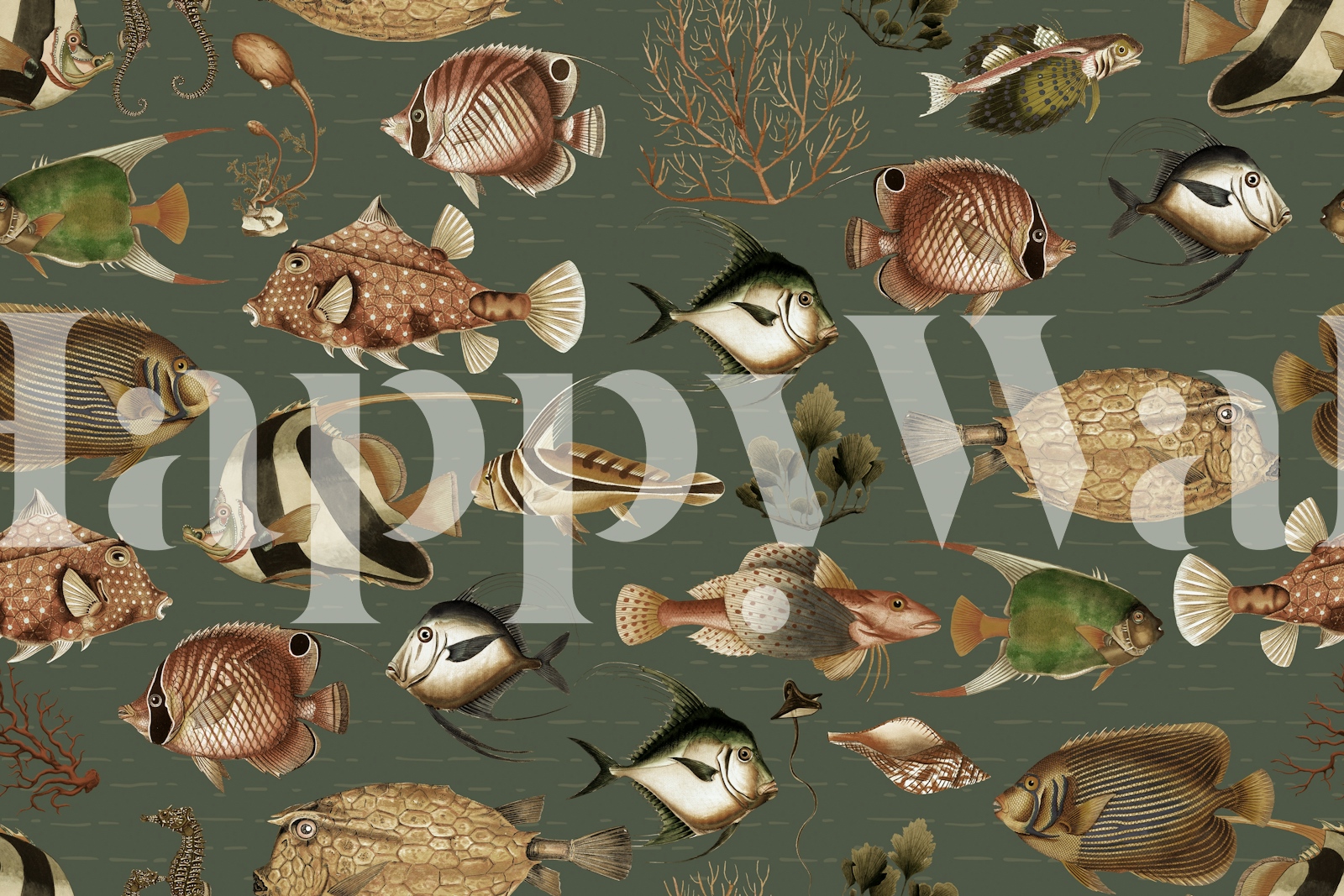 Tropical Oceania Fish Haven Wallpaper