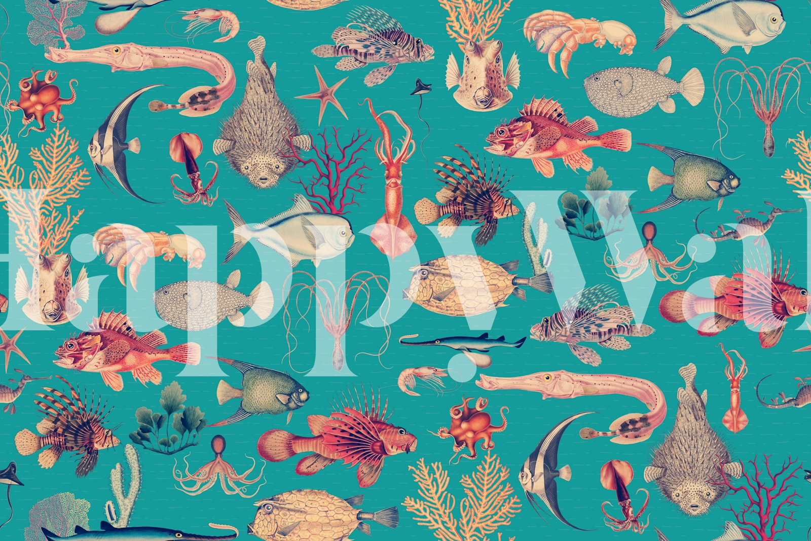 Aquatic Oceania Life Extravaganza Wallpaper